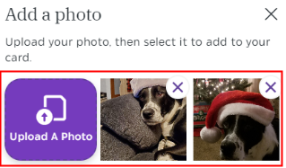 eCards on hallmark.com